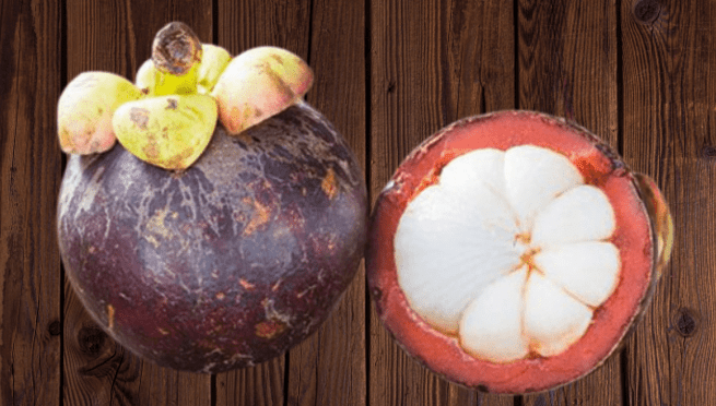 How To Cultivate Mangosteen Fruit Tree? A Step-By-Step Guide.